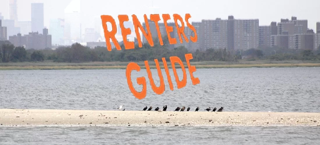 Renters Guide – The Nature of Cities