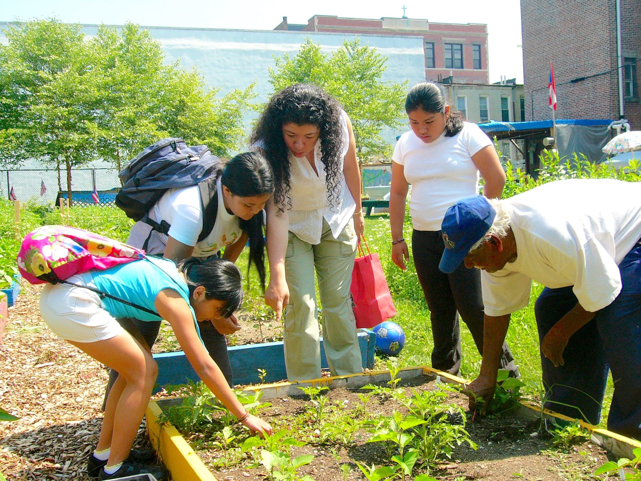 Intergenerational Urban Environmental Education – The Nature of Cities