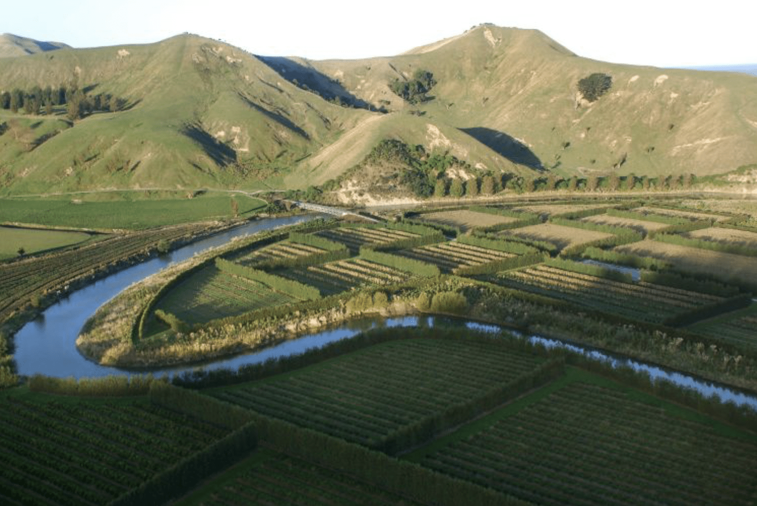 NBWLA Orongo Station Conservation Master Plan – The Nature of Cities