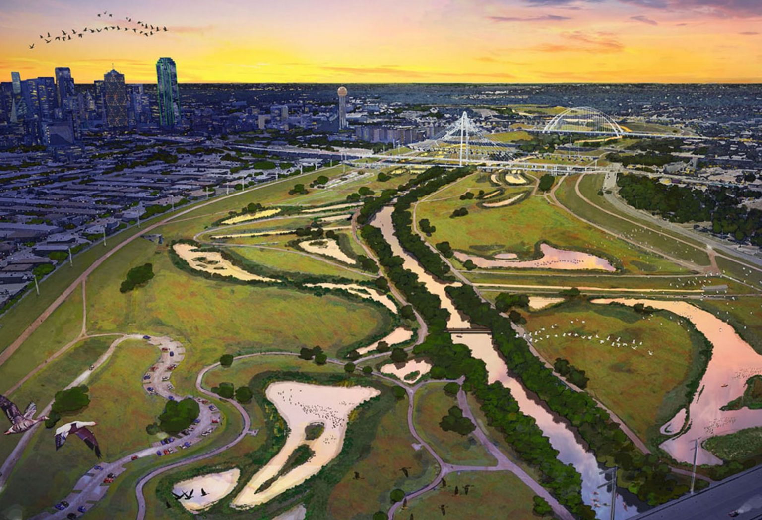 Three Case Studies in Re-wilding: Models and Methods for Other Cities ...