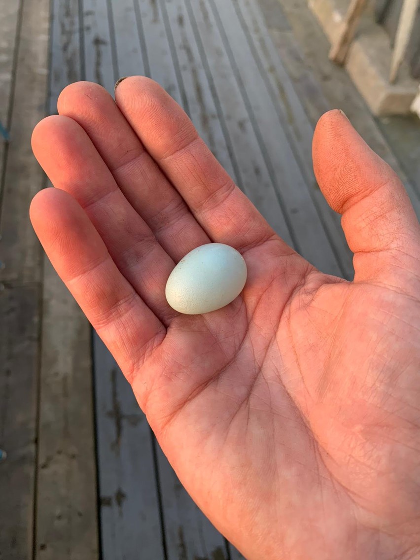 Katrine Claassens—Love Letters to the Muted World – The Nature of Cities