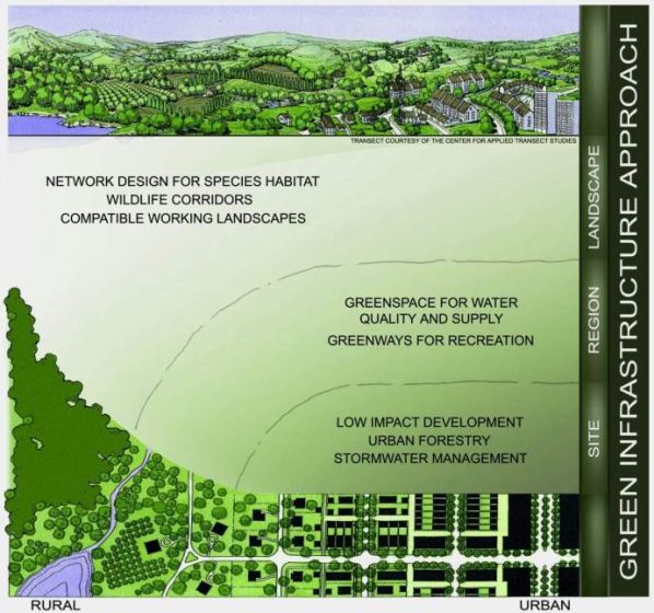 Green Infrastructure is Infrastructure: Future Opportunities for Nature ...