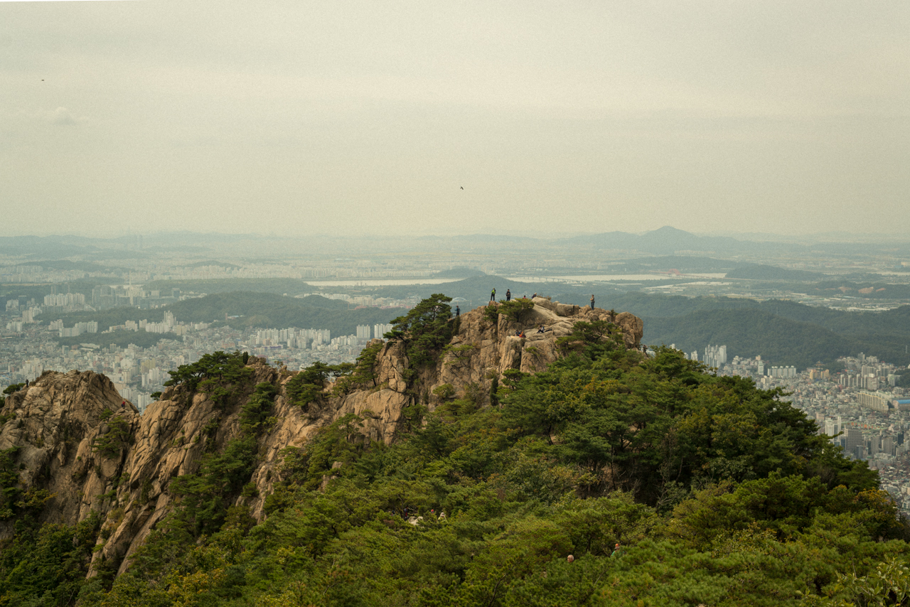 Photo Essay: Seoul and the Call of the Urban Wild – The Nature of Cities