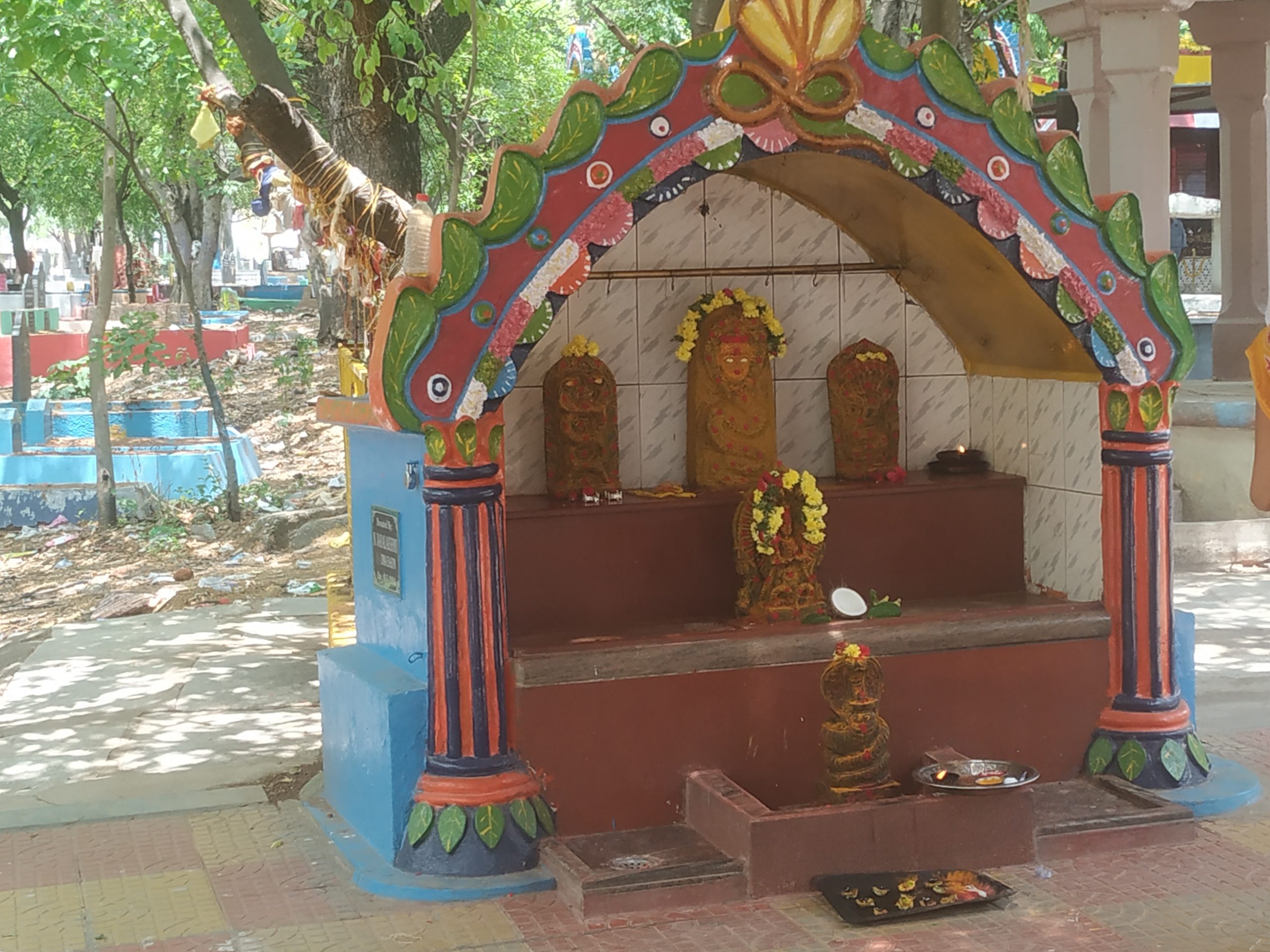Snake shrine with cradles and sacred thread tied to the Indian beech ...