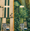 The EU Nature Restoration Law is here. Do we have what it takes to make ...